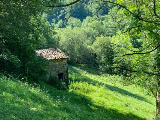 Country house for sale in Priesca, Ponga, Asturias | fotocasa