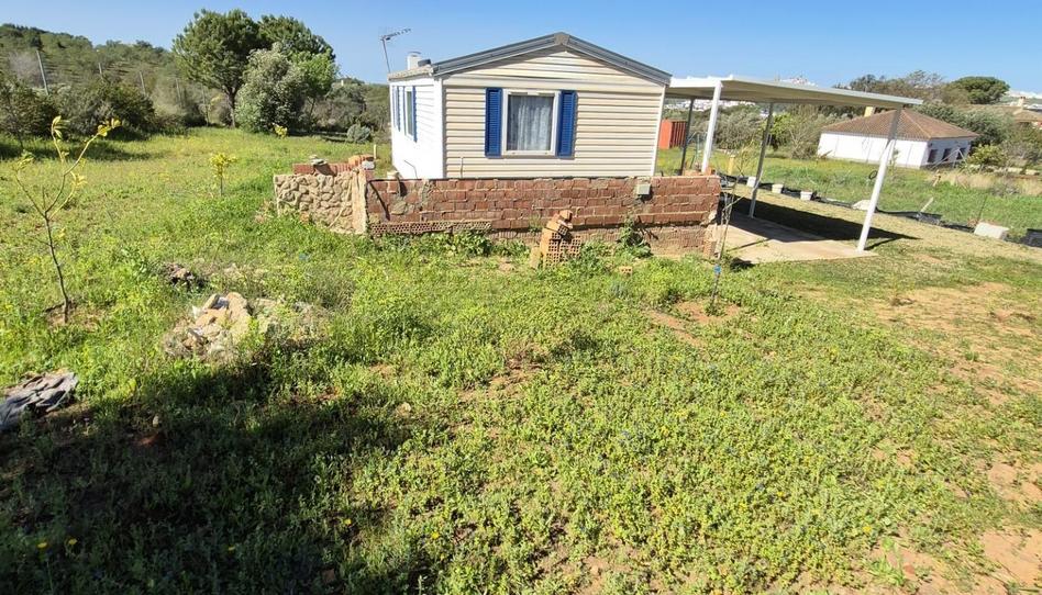 Finca rústica en venta en Arcos de la Frontera, Cádiz | fotocasa