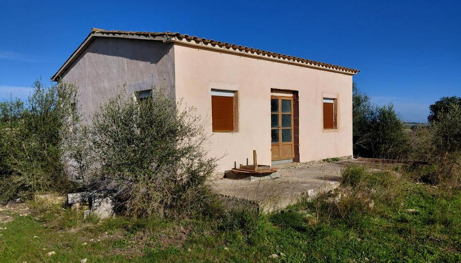 Casa o chalet en venta en Petra, Illes Balears | fotocasa