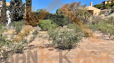 Residencial en venta en Almerimar, El Ejido | fotocasa